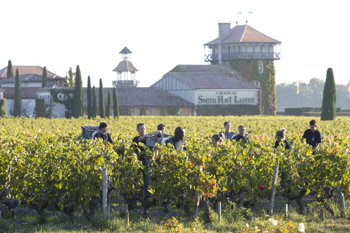 Château Smith Haut Lafitte rouge 2024 (Pessac-Léognan Rouge) - La ...